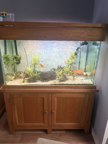 300lt Aqua Oak Aquarium Cabinet with fluval F6 filter. Please read ...