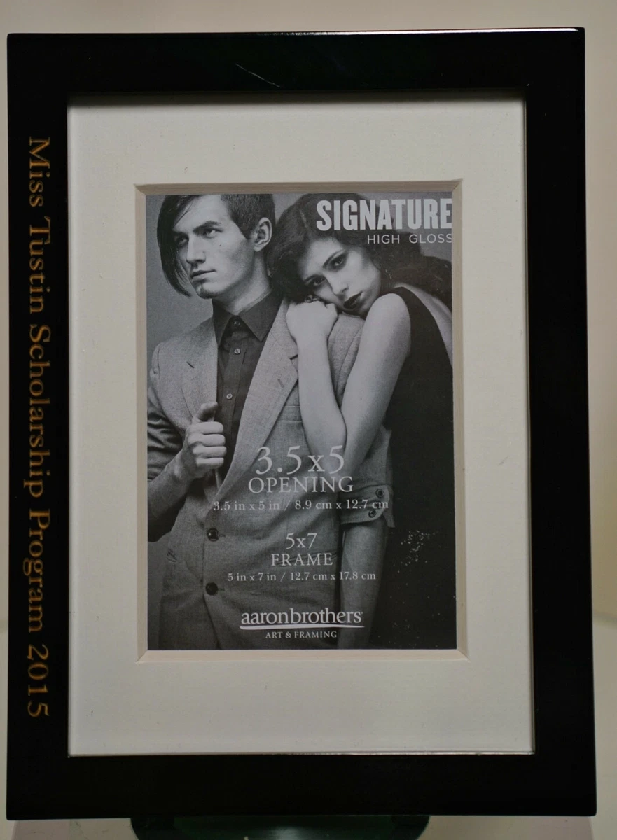 Aaron Brothers Poster Frames