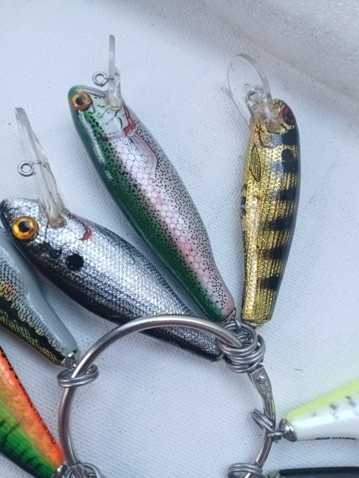 BAGLEY SALEMANS SAMPLE FISHING LURE | eBay