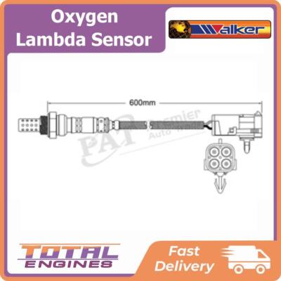 Walker Oxygen Lambda Sensor fits Ferrari 456 5.5L V12 F 116 | eBay ...