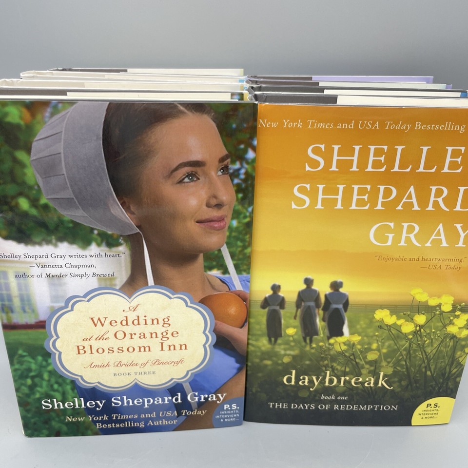Shelley Shepard Gray Amish Books Hidden Joyful Ray Of Light Large Print ...