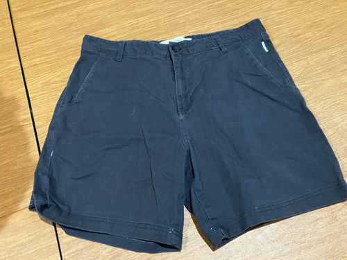 LAGUNA Solid Gray Shorts Size 34 GREAT CONDITION LOW PRICE | eBay
