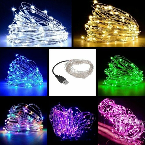 UK 20/50/100 LED USB Power Micro Rice Wire Copper Fairy String Lights ...