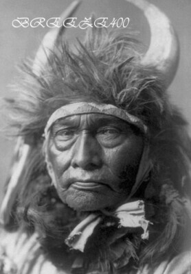 Vintage Photo Reprint/CROW CHIEF - BULL/Date Unknown/4x6 B&W Photo | eBay