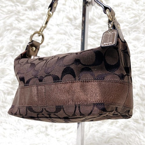 Coach Accessory Pouch Shoulder Bag 40757 #PG98FV | eBay