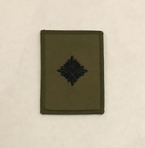 2nd Lt Lieutenant, Pip Green Rank Badge, Army MTP Military Patch, Hook ...