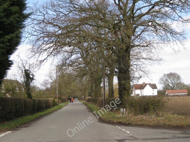 Photo 6x4 Honiley Road, Beausale From the crossroads. c2010 | eBay
