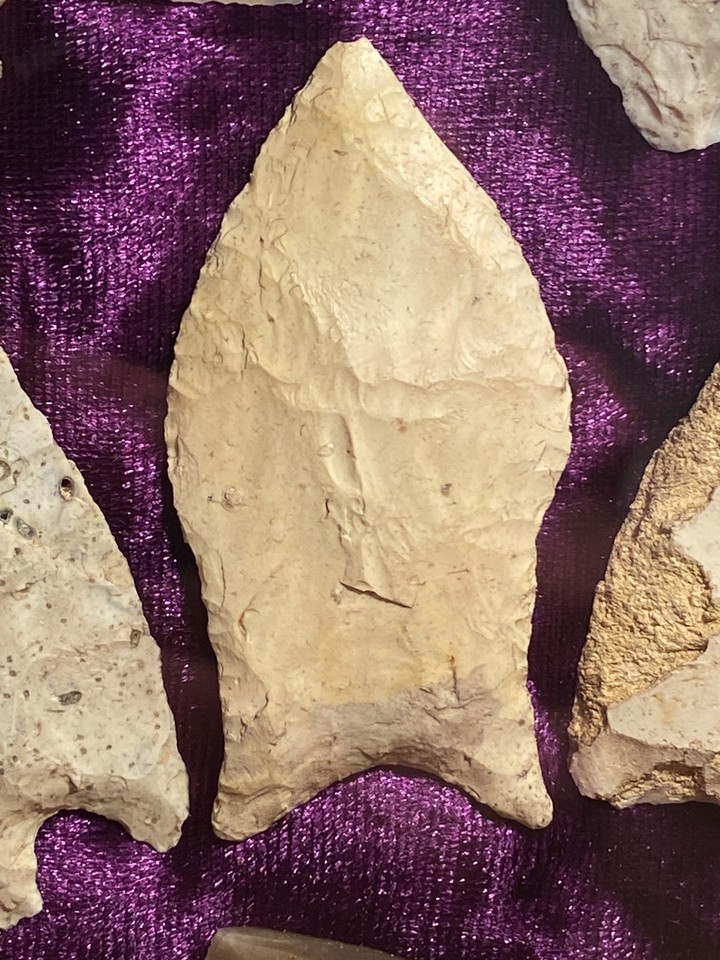 Textbook Florida Paleo Bull Tongue Simpson Arrowheads Spear Point G9 ...