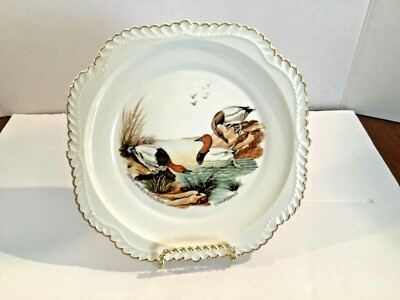 John James Audubon Decorative Porcelain Plate Canvasback Duck Gold Trim ...