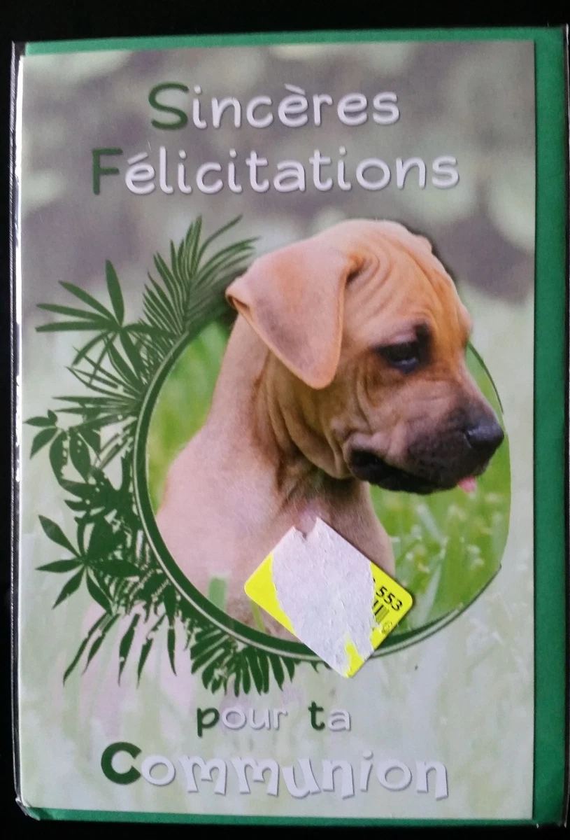 Félicitations Les Animaux