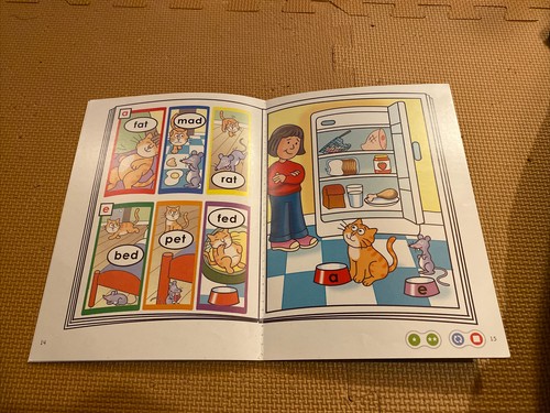 LeapFrog Tag Pen LeapReader LEARN TO READ Book — Casey Cat Has A Hat ...