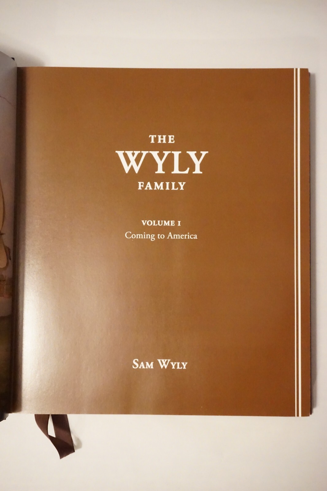 The Wyly Family: Coming to America by Sam Wyly 2011 Hardcover | eBay