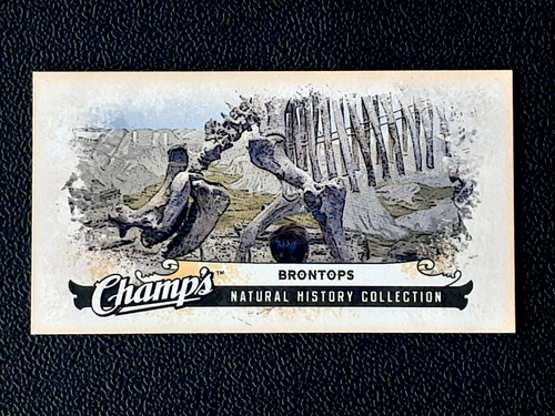 BRONTOPS 2008-09 UPPER DECK CHAMP'S MINI 08-09 NO C322 55541 | eBay
