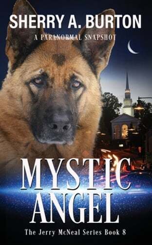 The Jerry Mcneal Ser.: Mystic Angel : Join Jerry Mcneal and His Ghostly ...