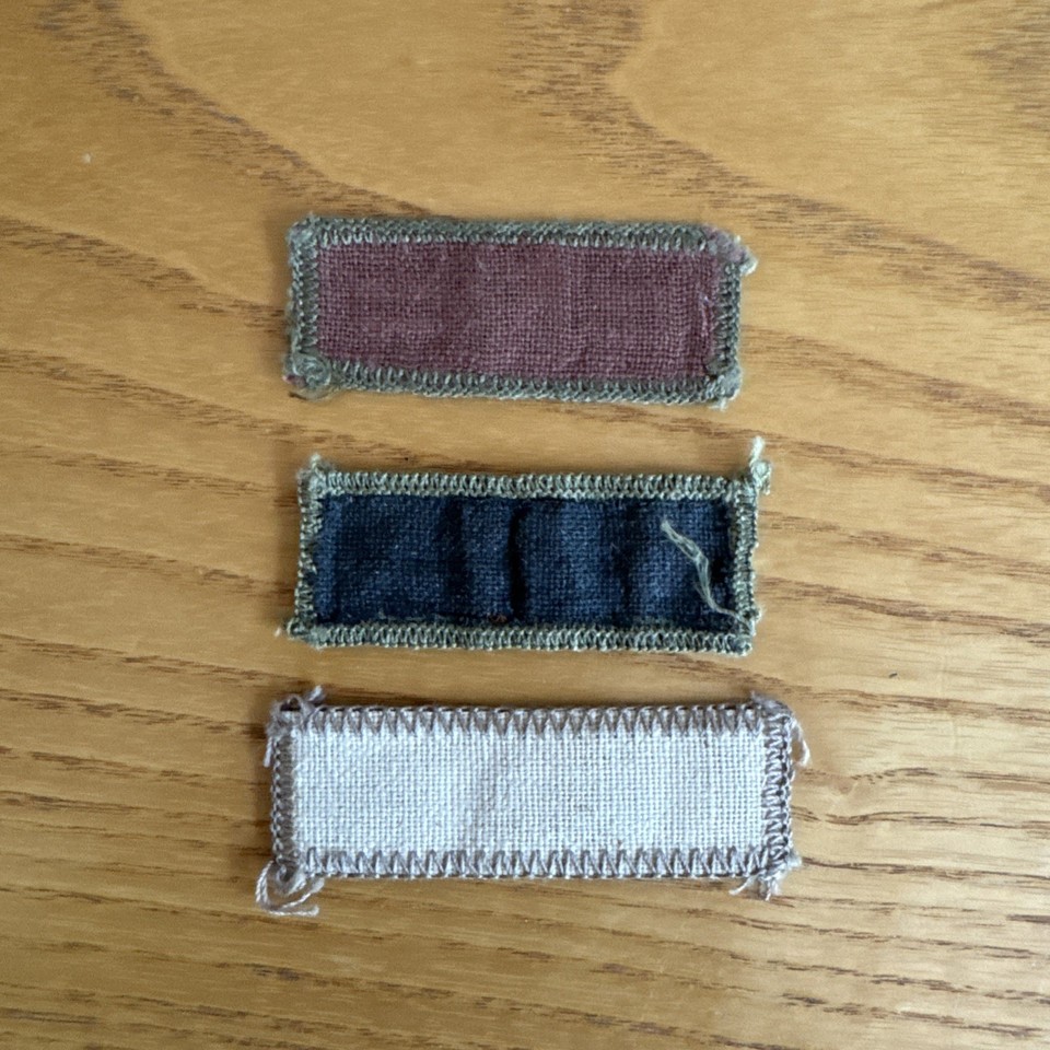 1950 British/UK Commonwealth Silver Wolf/Silver Acorn/Long Service ...