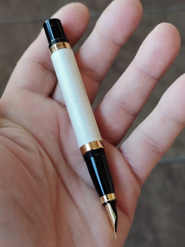 🔴Luxuriously made fountain pen SCHMIDT w/gold plated M nib - No cap🔴 | eBay