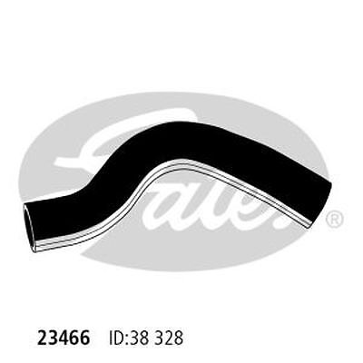 Gates Lower Radiator Hose 23466 | eBay