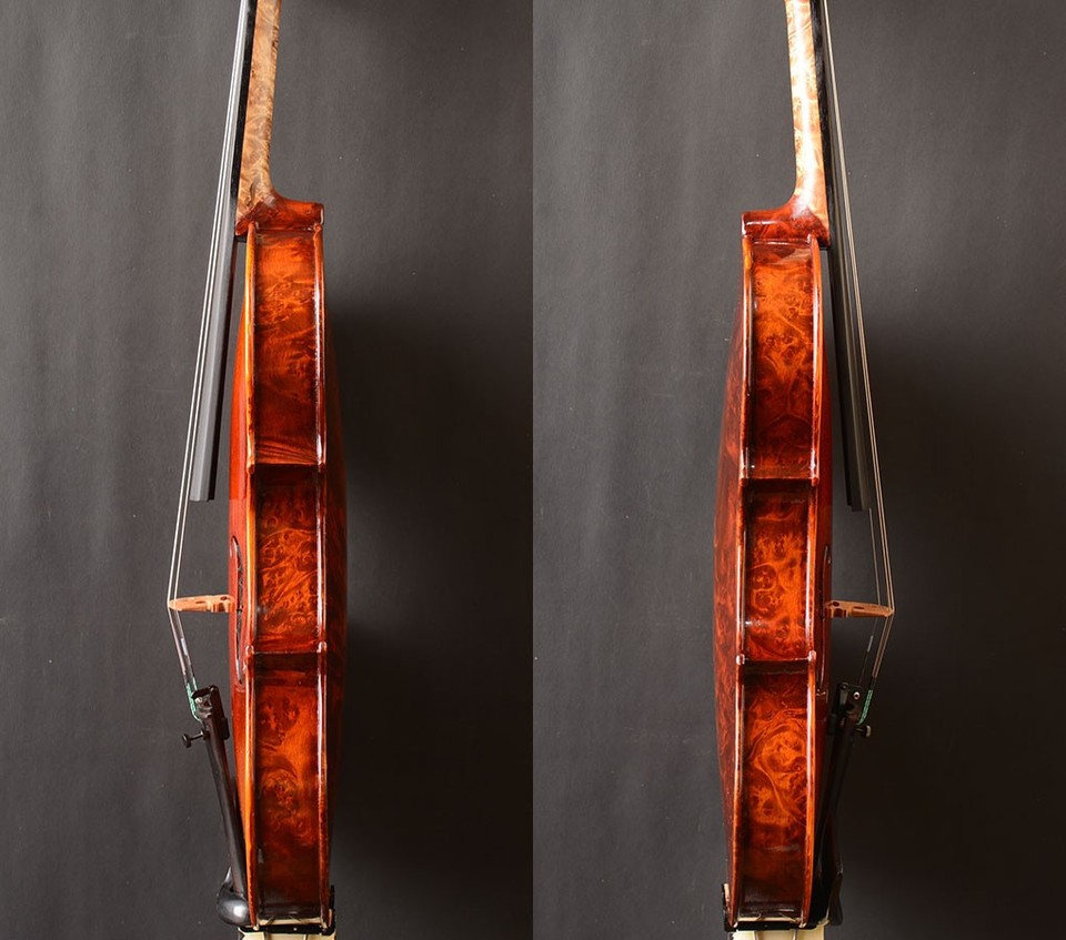 Beautiful 1pc piece Bird Eyes Maple! A Strad model Violin 4/4 clear ...