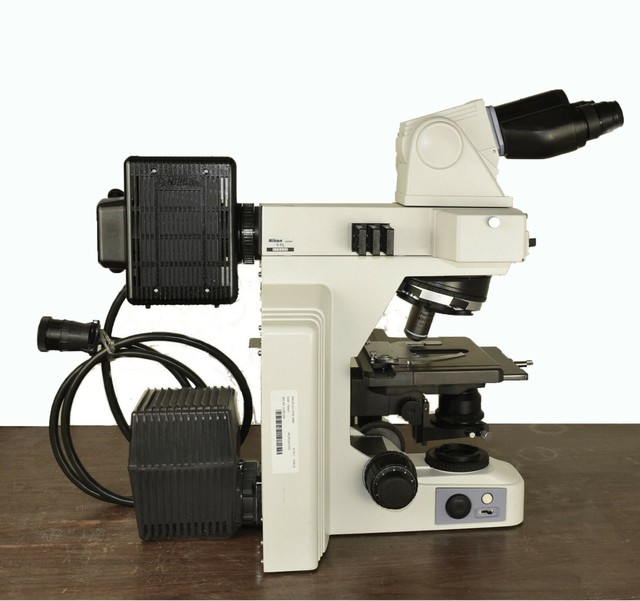 Nikon Eclipse E600 Dic Fluorescent & Epi Research Microscope for sale ...