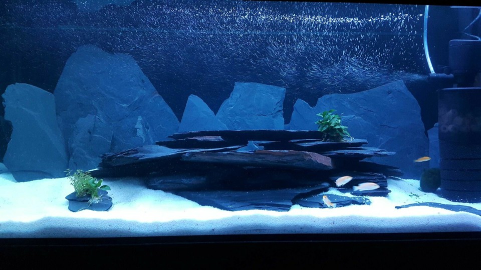 Fish Tank Stone Natural Cave Aquarium Decoration Black Slate 15kg Set ...