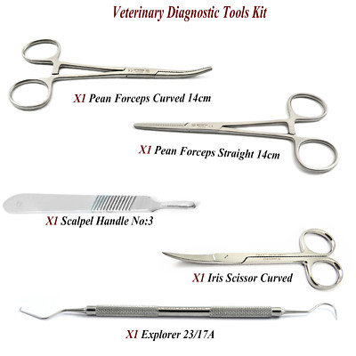 Dental Veterinary Surgery Tools Veterinarian Medical Examination ...