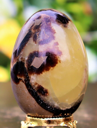 70MM Yellow Septarian Egg Septaria Septeyre Chakra Crystal Healing ...