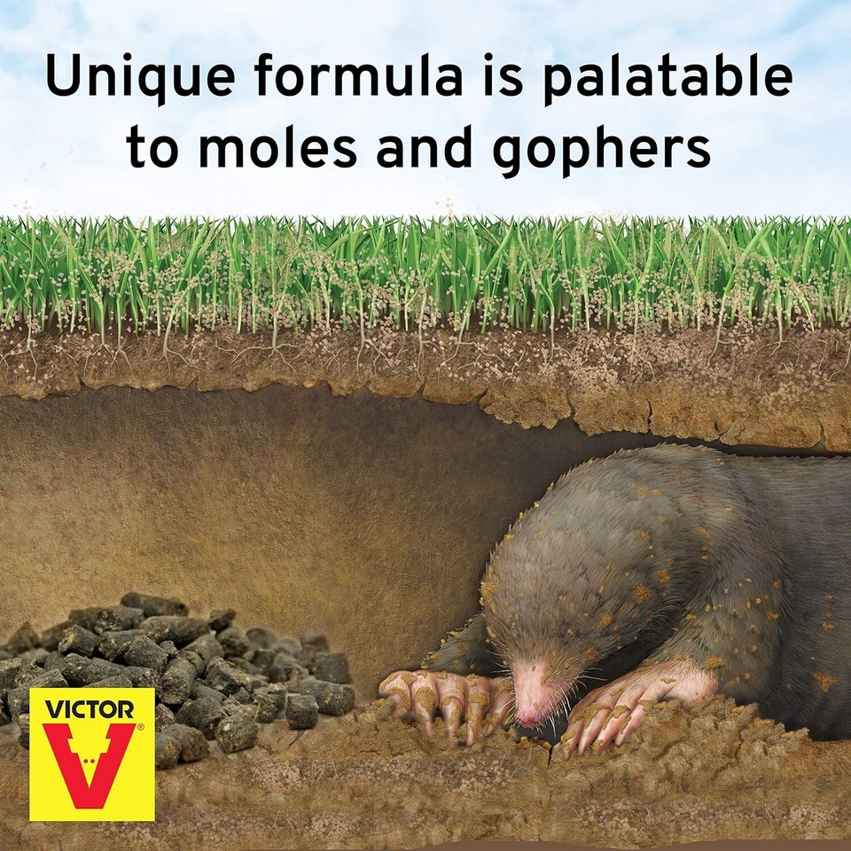 M6006 Outdoor Mole & Gopher Poison Peanuts - Mole and Gopher Bait ...