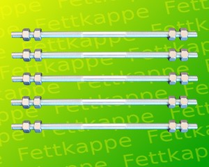 5x Gewindestange M6 Länge 160 mm - je 1x Gewinde M6 rechts und M6 links ...