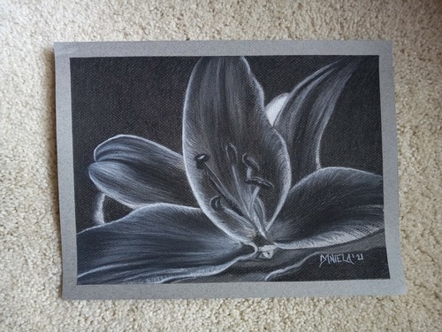 Easy Charcoal Flower Drawings | Best Flower Site