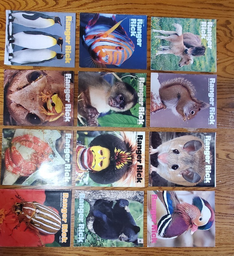 Lot of 12 Vintage Ranger Rick Magazines 89,90,91 National Wildlife ...