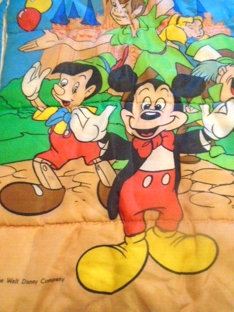 Magic Kingdom- sleeping bag/comforter- Mickey Mouse- Peter Pan | eBay