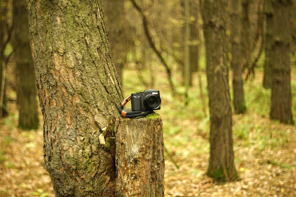 PO3-3M RO3-3M Red P 2/50mm M39 Lens for Mirrorless Cameras | eBay