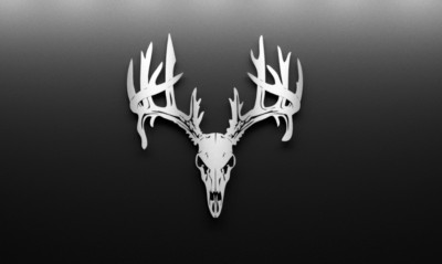 Whitetail Buck Skull Polished Steel Metal Hanging, Buck Deer Art ...