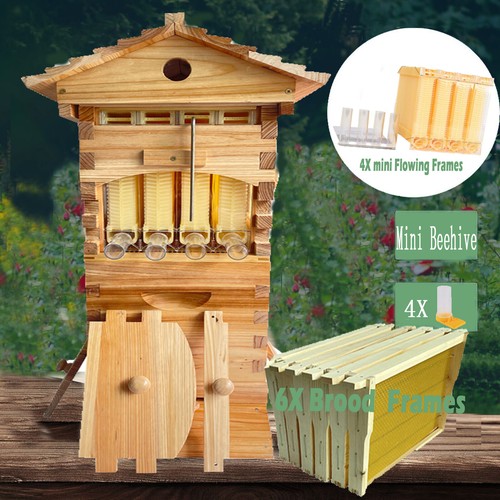 Mini Auto Flowing Bee Hive Bee Boxes Beehive House 10 Beekeeping Frames ...