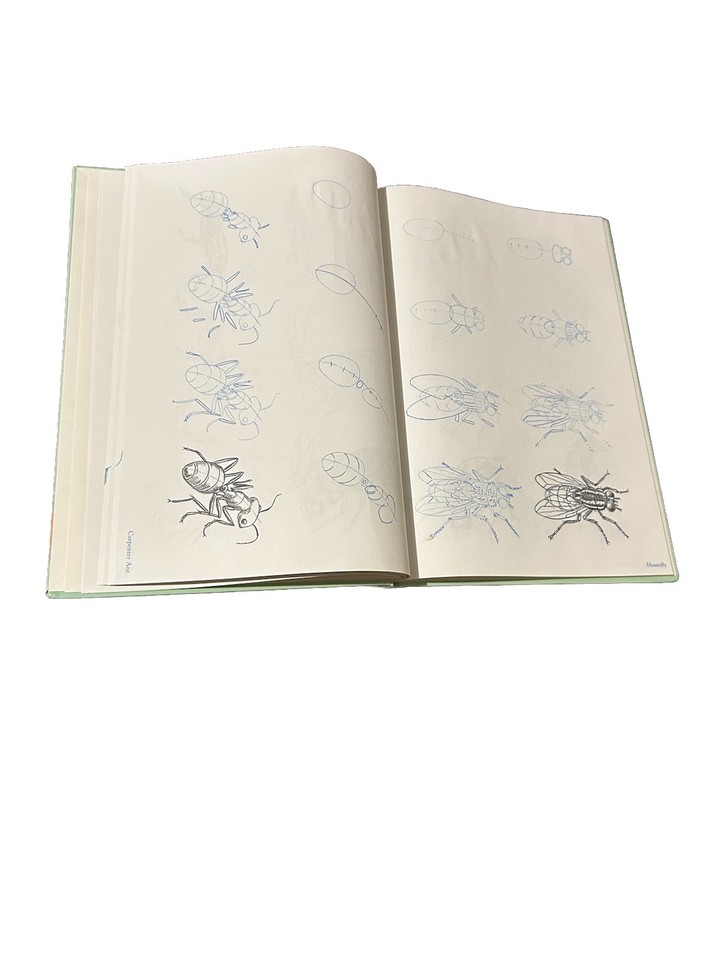 Draw 50 Creepy Crawlies: The Step-By-Step Way to Draw Bugs, Slugs by ...