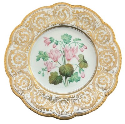 GRAINGER WORCESTER - DERBY - PARIS FABULOUS BOTANICAL PAINTED PLATE ...