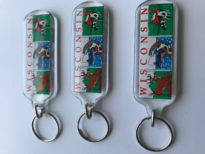 Wisconsin Keychain Lucite Rectangle 3 PCS Pack | eBay