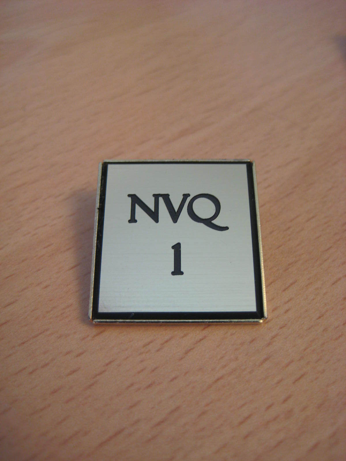 NVQ Qualification Awards 1,2, 3, 4 OR OWN TEXT GILT PIN BROOCH BADGE ...
