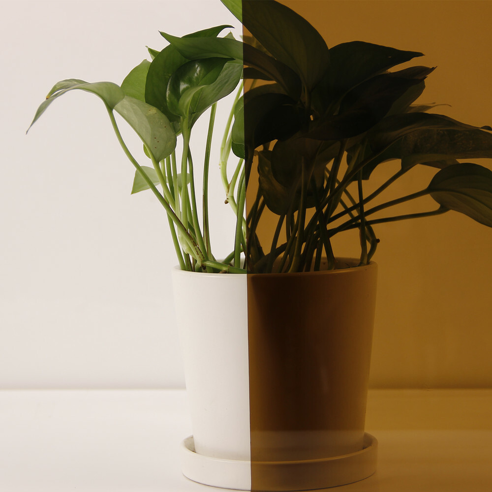 Brown Window Tint Film Transparent Glass Film Home Architectural Decor ...