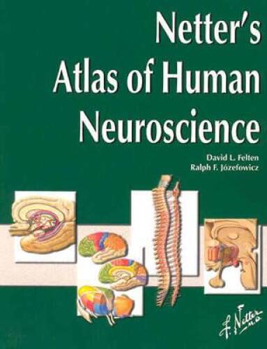 Netter's Atlas of Human Neuroscience, 1e (Netter Basic Science) - GOOD ...
