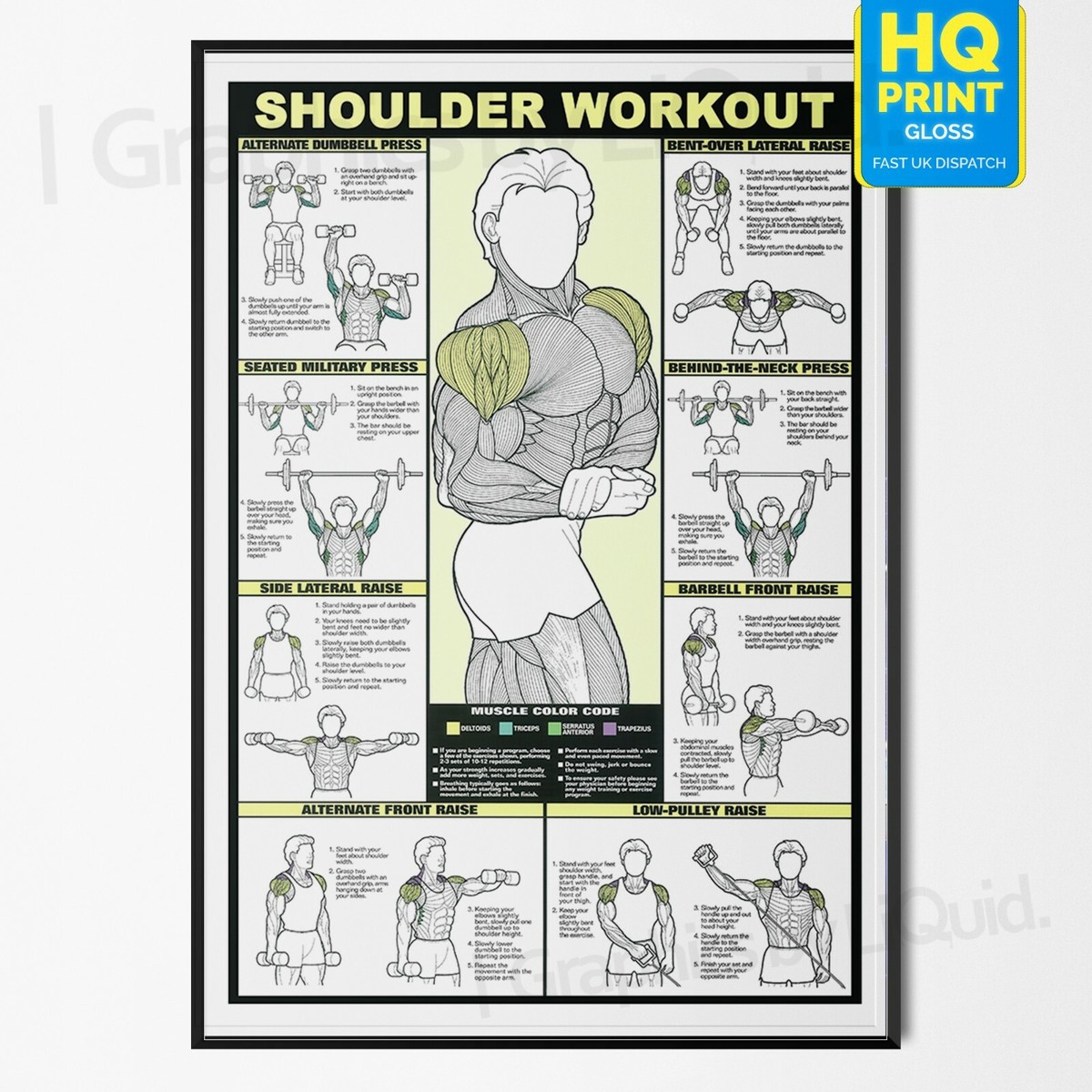 Printable Abdominal Workout Poster