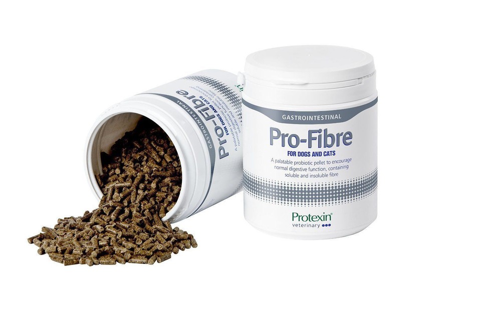 Protexin Pro-Fibre for Dogs & Cats Digestion Probiotic Supplement ...