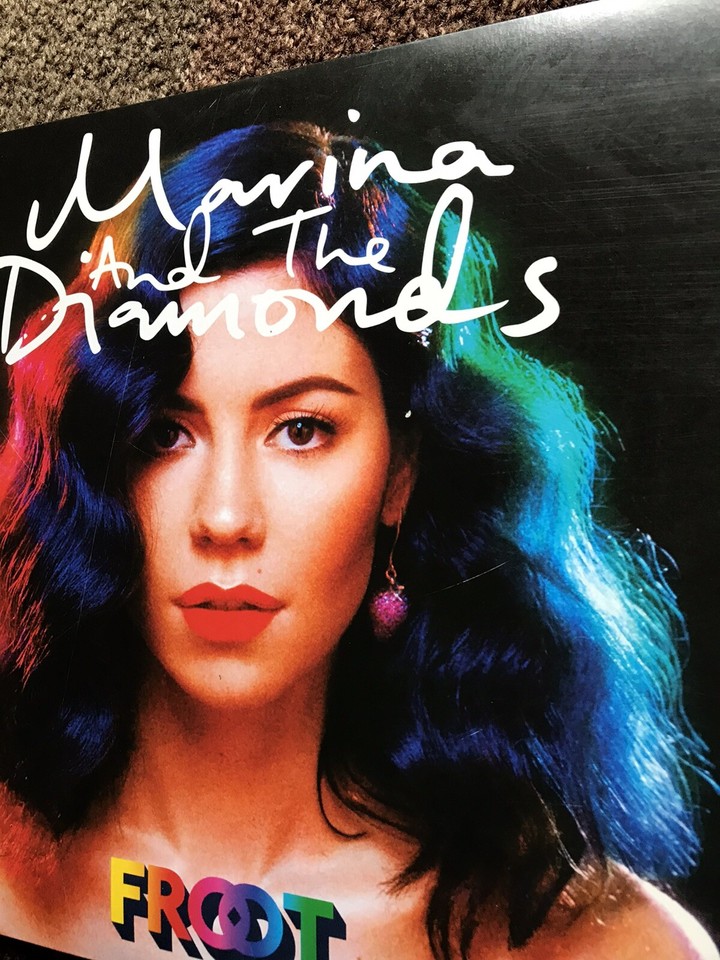 Marina And The Diamonds Froot Vinyl Sleeve Damage | eBay UK