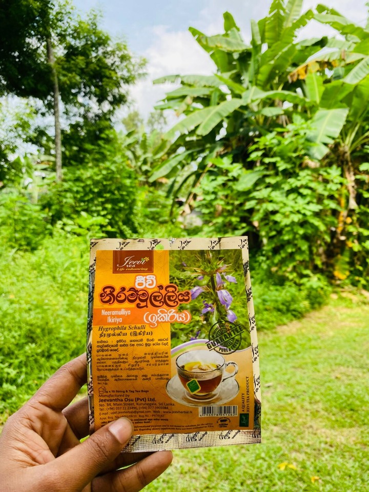 MARSH BARBEL NEERAMULLIYA TEA Bags Natural Herbal Ayurveda Healthy FREE ...