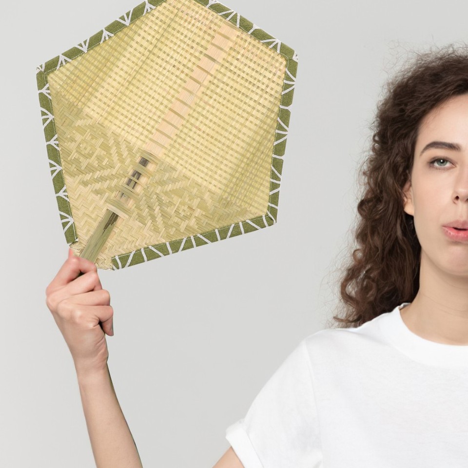 Chinese Style Hand Held Fan Handmade Hand-woven Vintage Bamboo Fans ...