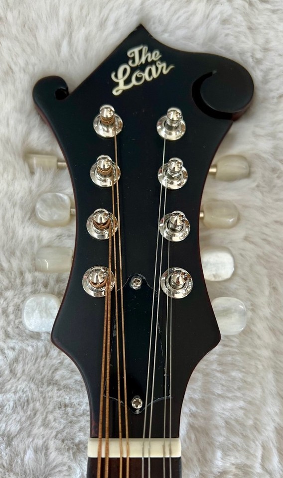 The Loar LM-590-MS Contemporary Acoustic All Solid F-Style Mandolin | eBay