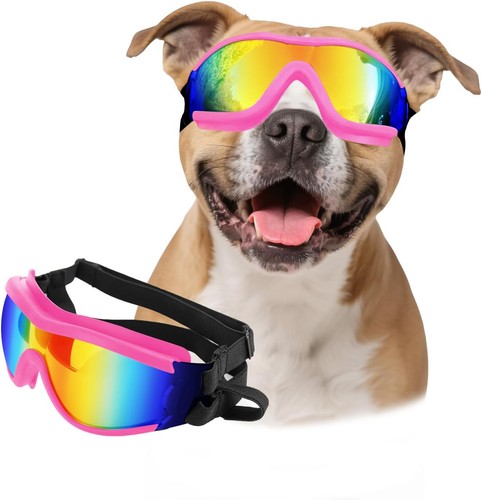 Dog Goggles - Large Dog Eye Protection Goggles Windproof Sunglasses for ...