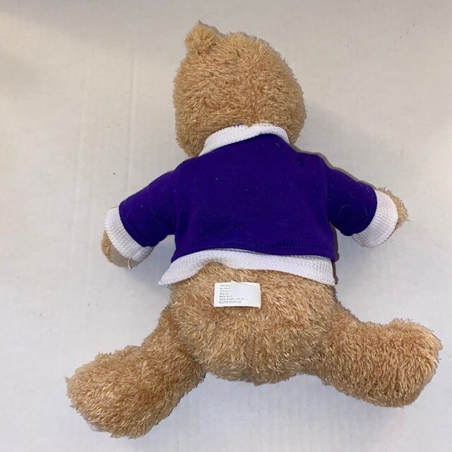 VTG Good Stuff Minnesota Vikings Plush Bear 11" | eBay