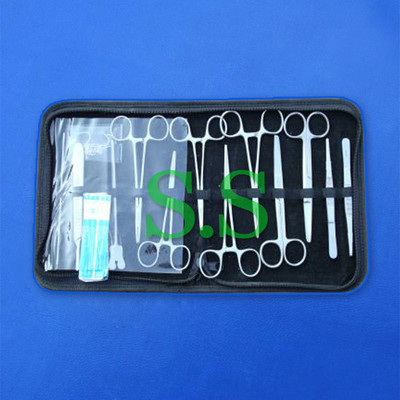 19 PCS MINOR SURGERY KIT SURGICAL INSTRUMENTS FORCEPS | eBay