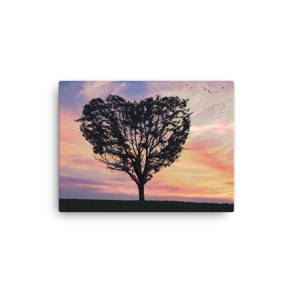 Heart Tree Sunset
